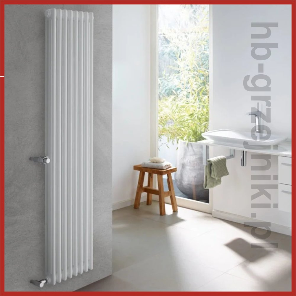 Grzejnik Zehnder Charleston Retrofit - Zehnder