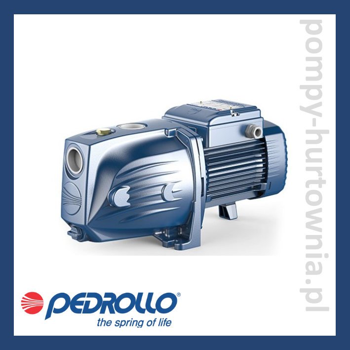 Pompa samozasysająca Pedrollo JSW2 - Pompy Hurtownia